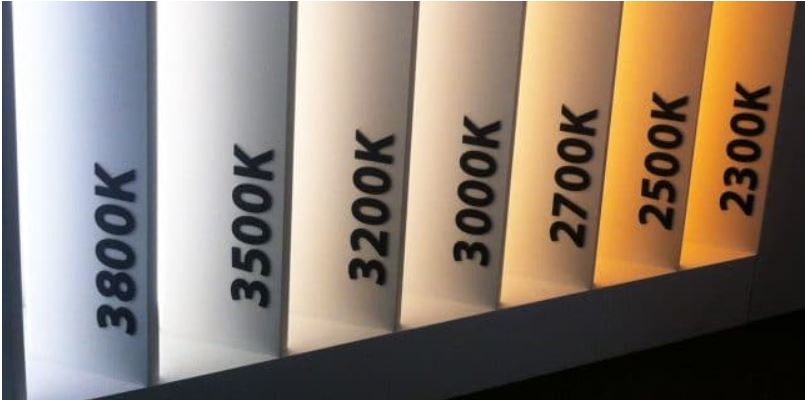 Design Blog | Energy Efficient Home Renovation | In-Site Interior Design